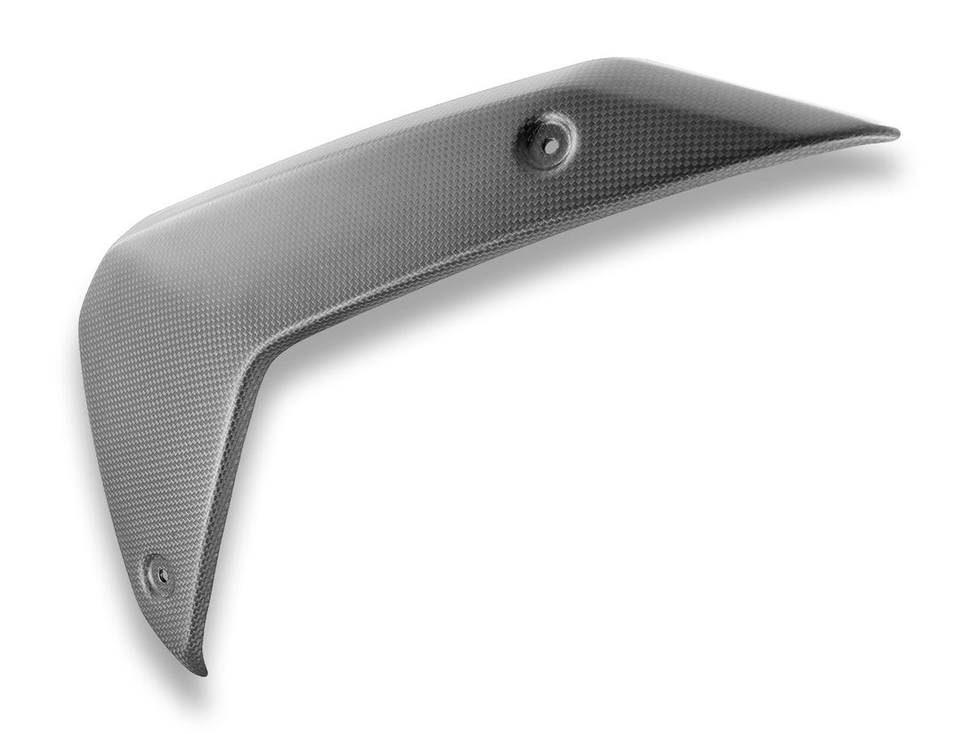 DBK Special Parts CRB180O - BMW R1300GS MATT CARBON SIDE PANELS ...